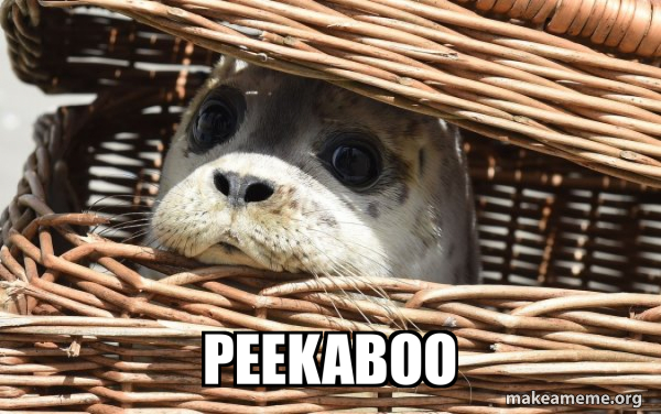 peekaboo - Impending Doom Seal Meme Generator