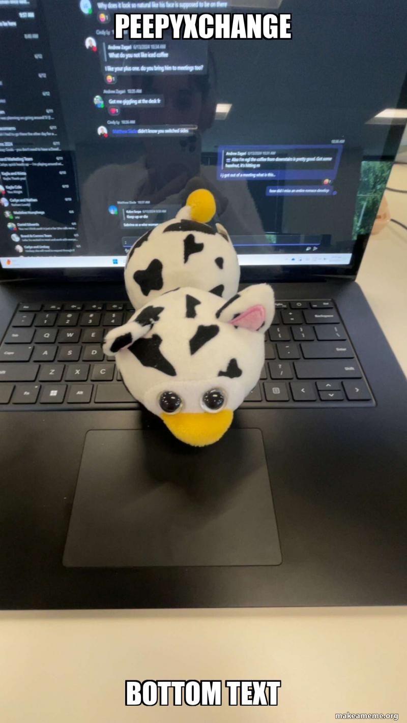 Peepyxchange Bottom text Meme Generator
