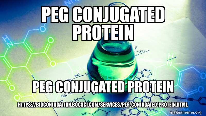 peg conjugated protein peg conjugated protein https://bioconjugation ...