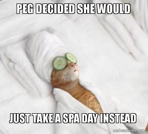 Peg decided she would just take a spa day instead - Pampered Cat Meme Meme Generator