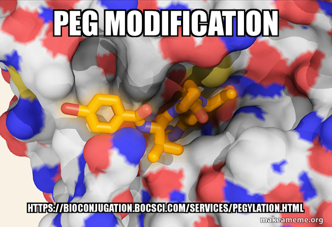 peg modification https://bioconjugation.bocsci.com/services/pegylation ...