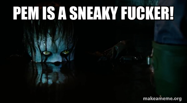 PEM is a sneaky fucker! - Pennywise It Meme Generator