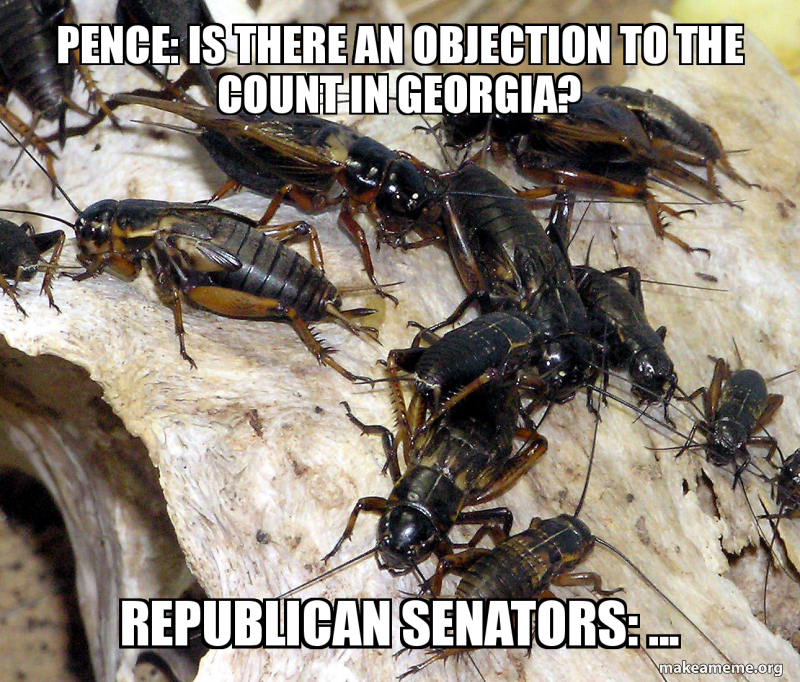 Pence: is there an objection to the count in Georgia? Republican ...