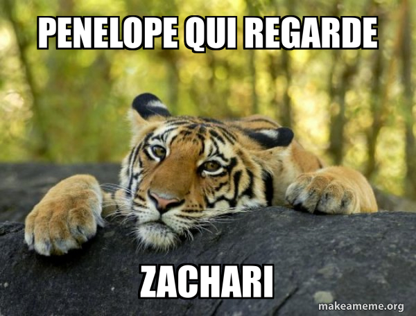 penelope qui regarde zachari - Confession Tiger Meme Generator