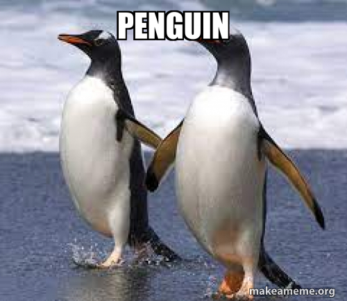 Penguin Meme Generator