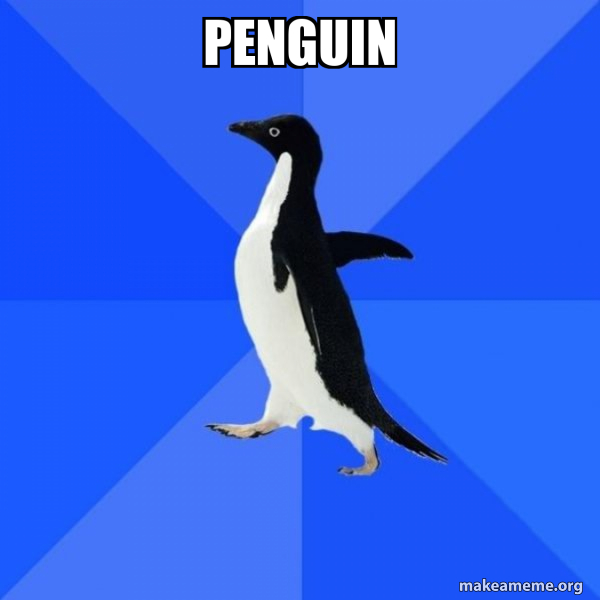 Penguin - Socially Awkward Penguin Meme Generator