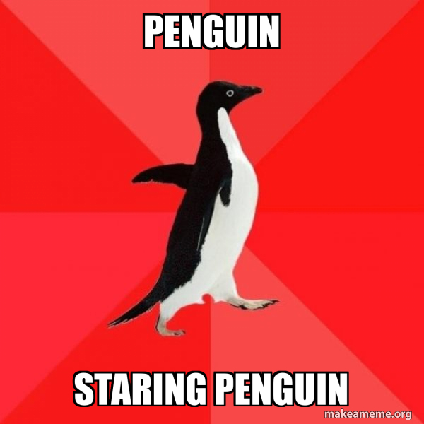 penguin staring penguin - Socially Awesome Penguin Meme Generator
