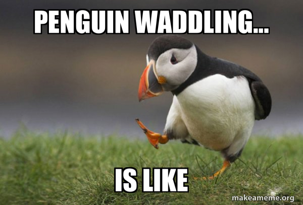 penguin waddling... is like - Unpopular Opinion Puffin Meme Generator
