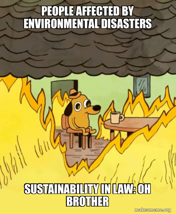 people affected by environmental disasters sustainability in law: oh brother - This Is Fine Meme ...