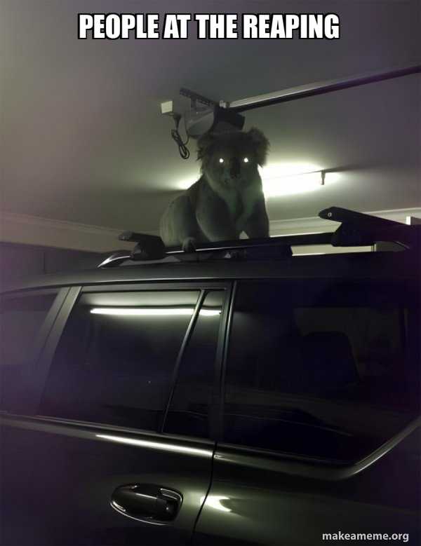people at the reaping - Drop Bear Meme Generator