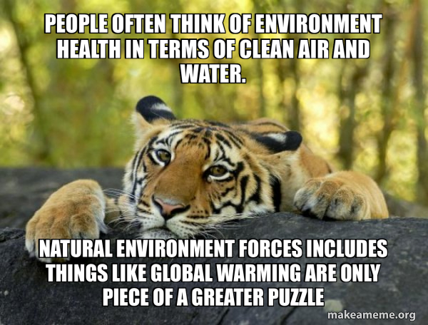 People often think of environment health in terms of clean air and ...