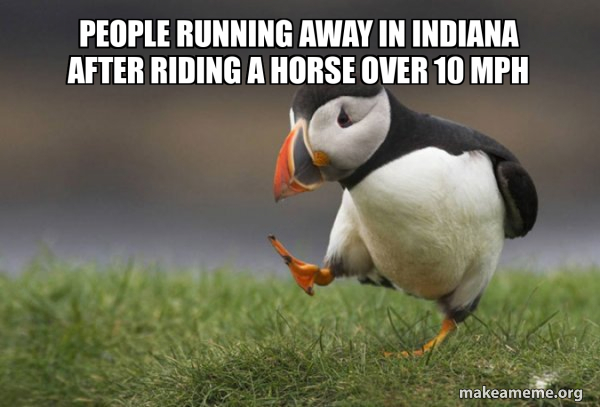 People running away in Indiana after riding a horse over 10 mph ...