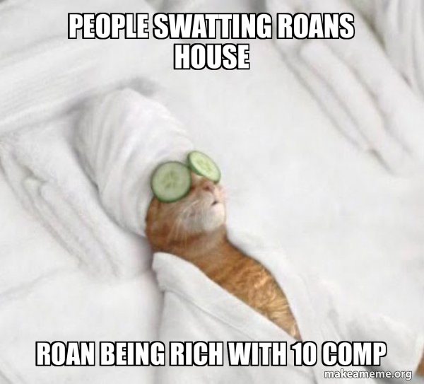 people swatting roans house roan being rich with 10 comp - Pampered Cat ...