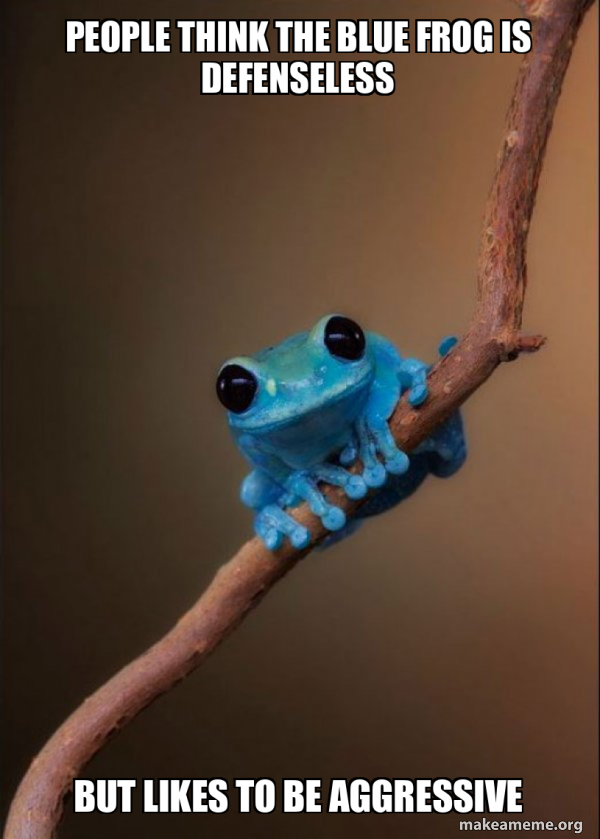 People think the blue frog is DEFENSELESS But likes to be AGGRESSIVE ...