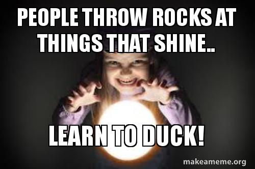 People throw rocks at things that shine.. Learn to duck! - ;pokujh Meme ...