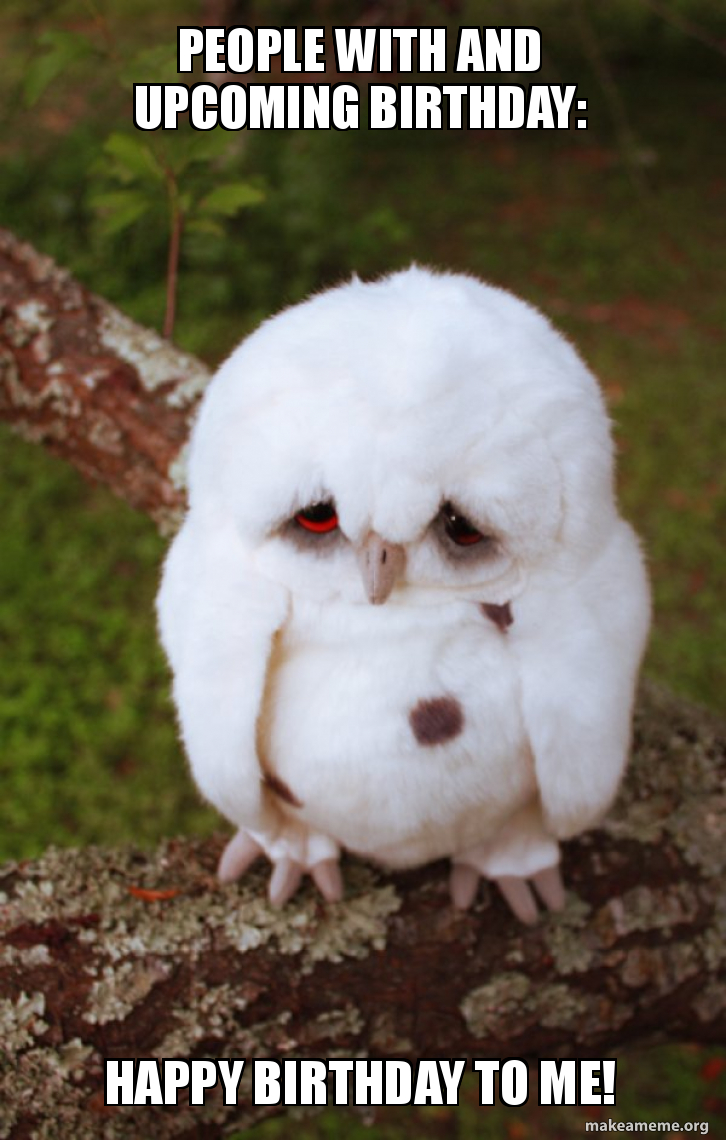 People with and upcoming birthday: Happy birthday to me! - Sad Owl Meme ...