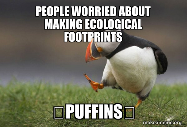 People worried about making ecological footprints Puffins - Unpopular ...