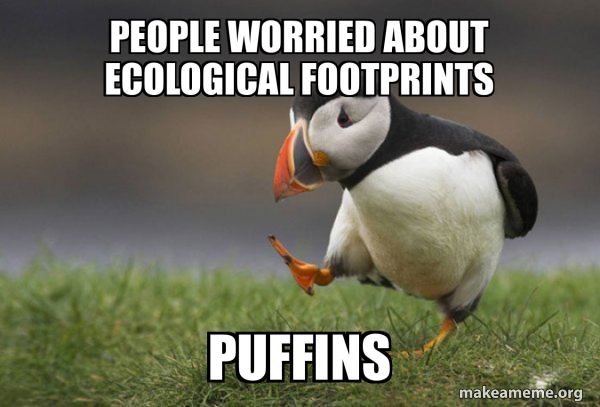 People worried about ecological footprints Puffins - Unpopular Opinion ...