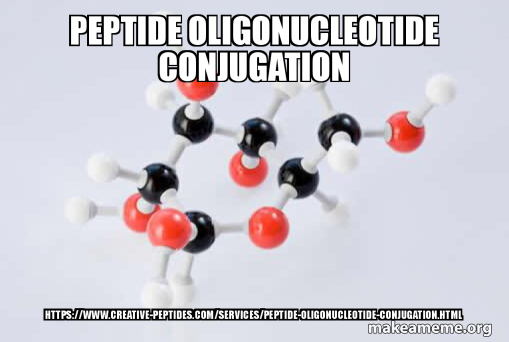 Peptide oligonucleotide Conjugation https://www.creative-peptides.com ...