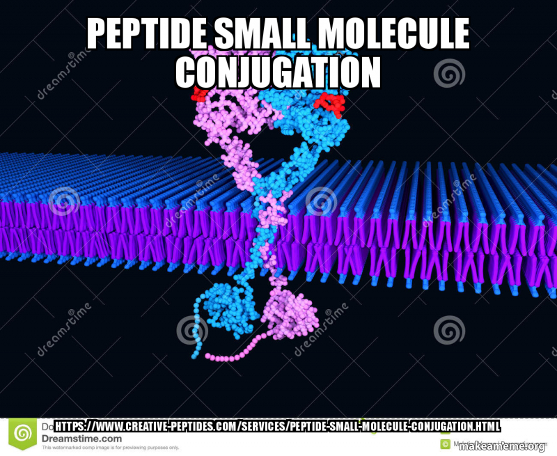 peptide small molecule conjugation https://www.creative-peptides.com ...