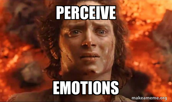 perceive emotions - Frodo it's over it's done Meme Generator