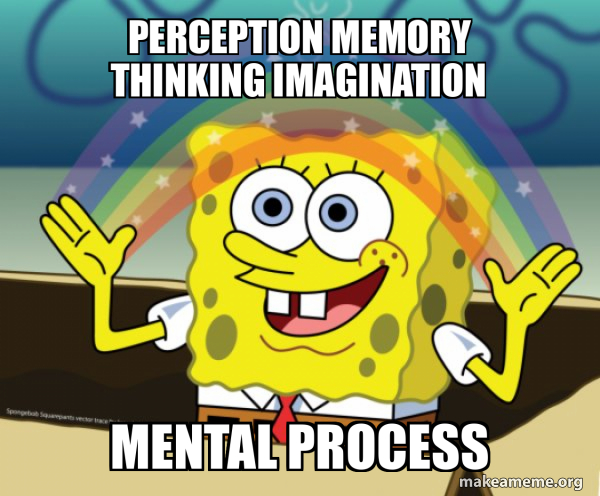 Perception Memory Thinking IMAGINATION MENTAL PROCESS - Rainbow ...