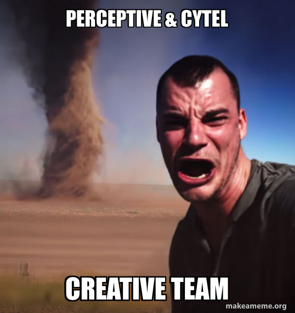 PERCEPTIVE & CYTEL CREATIVE TEAM - Tornado Guy Meme Generator