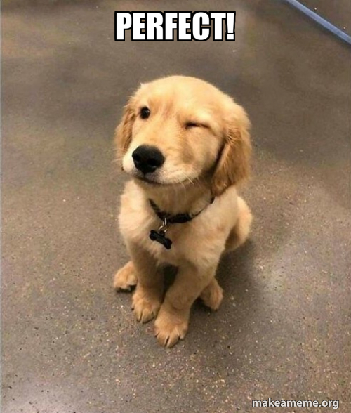 PERFECT! Meme Generator