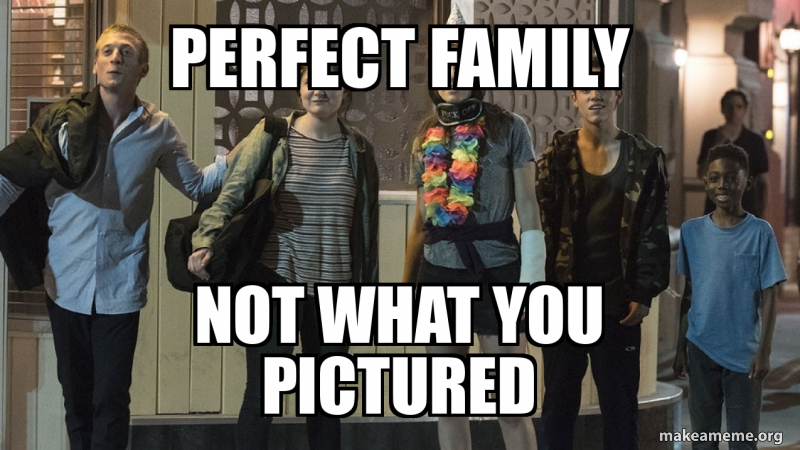 perfect family not what you pictured Meme Generator