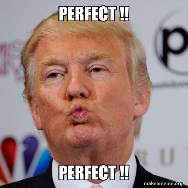 perfect !! perfect !! - Donald Trump Kissing Meme Generator