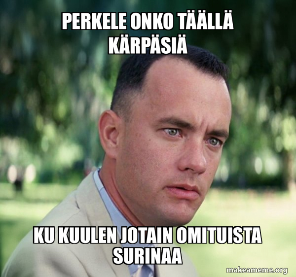 Perkele onko täällä kärpäsiä ku kuulen jotain omituista surinaa ...