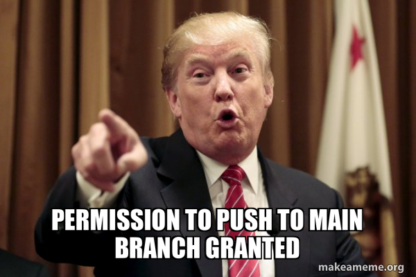 permission to push to main branch granted - Donald Trump Says Meme ...
