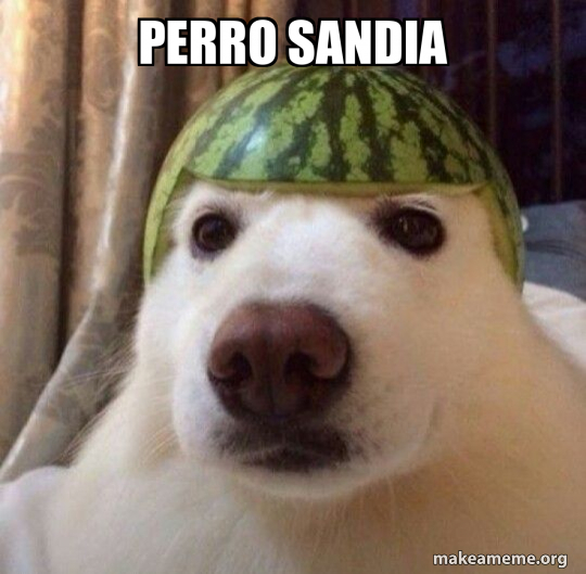 Perro sandia Meme Generator