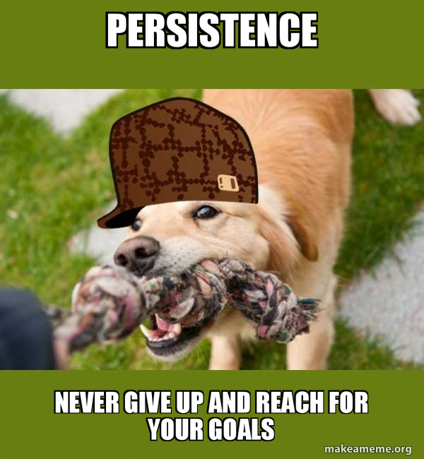 Persistence Never give up and reach for your goals - Scumbag dog | Make ...