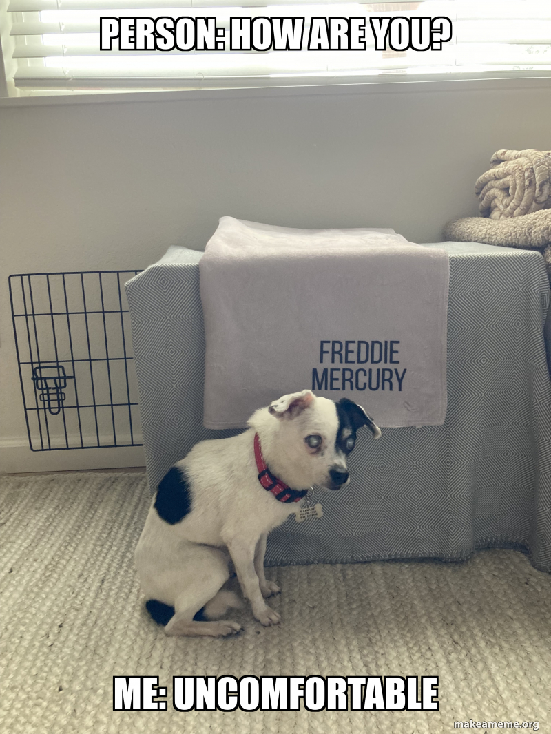 person: how are you? me: uncomfortable Meme Generator