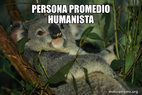 PERSONA PROMEDIO HUMANISTA - Laid Back Koala Meme Generator