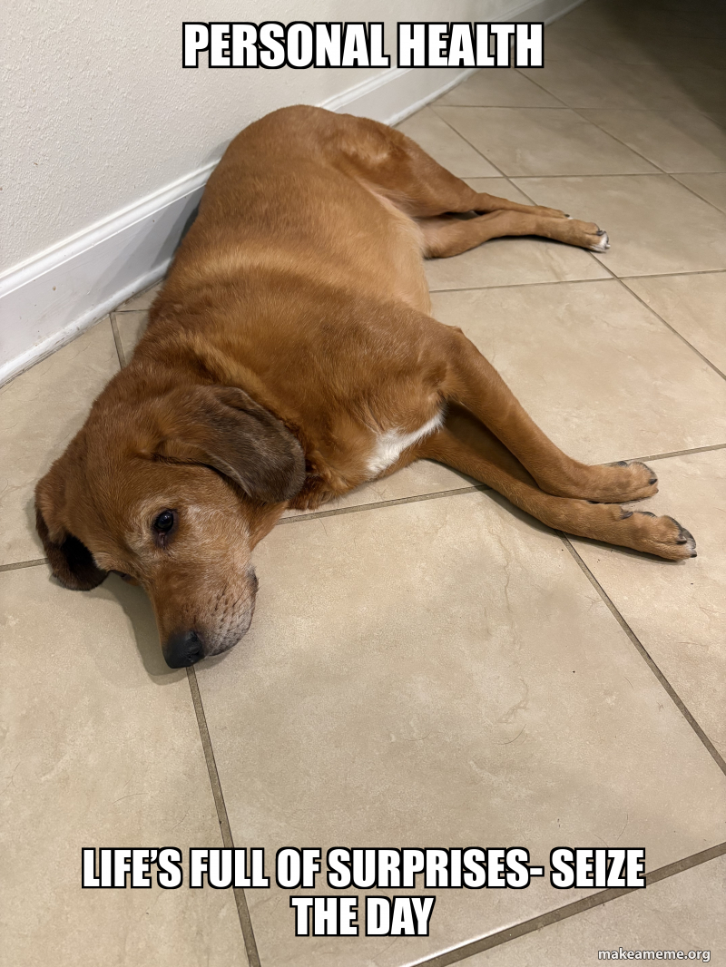 Personal Health Life’s full of surprises- seize the day Meme Generator