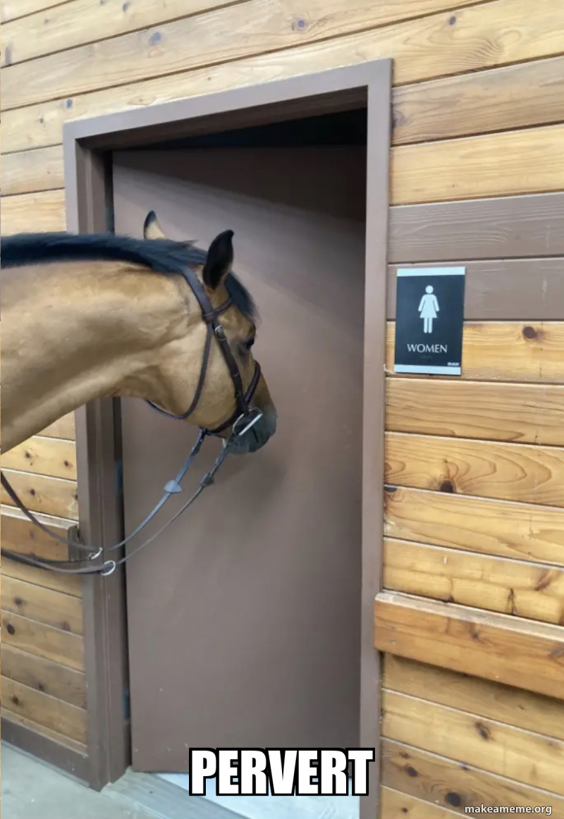 Pervert Meme Generator