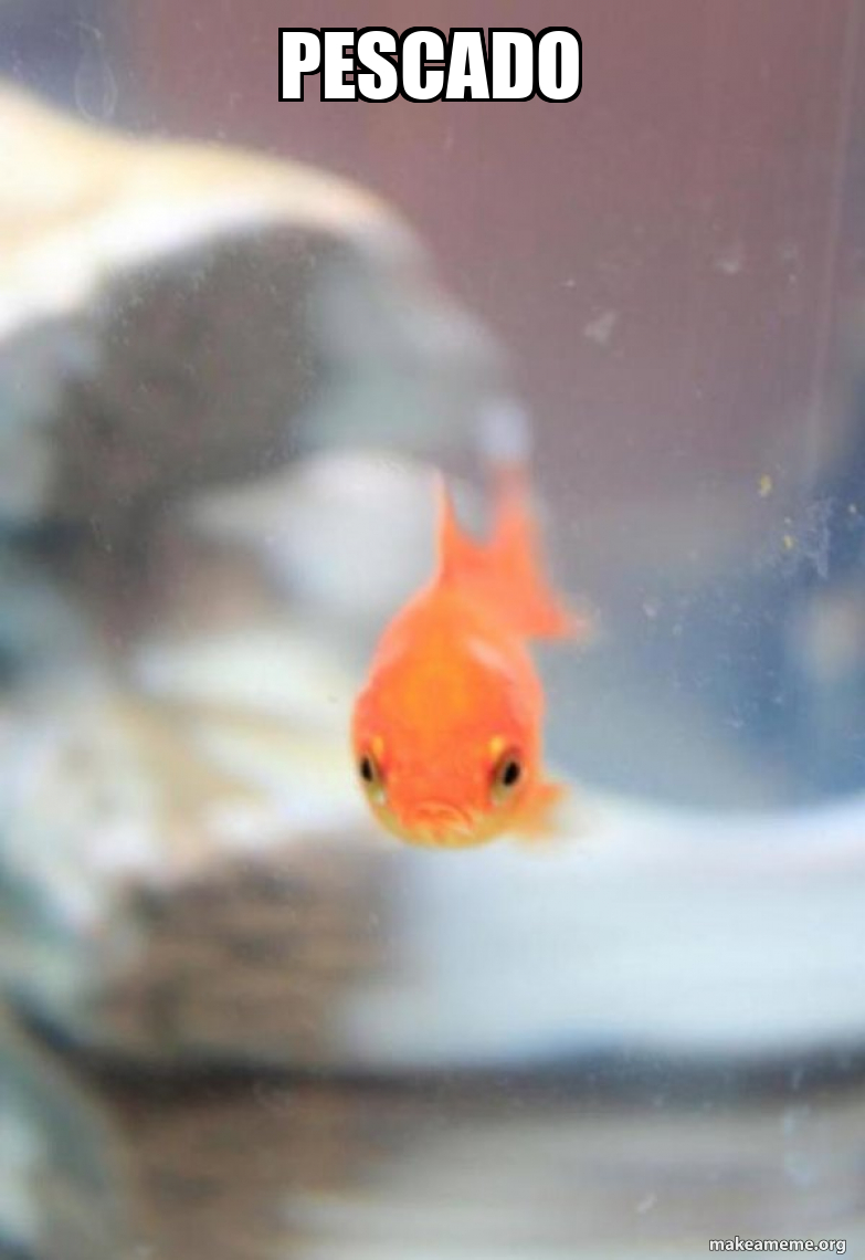 pescado - Grumpy Fish Meme Generator