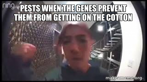 pests when the Genes prevent them from getting on the cotton Meme Generator