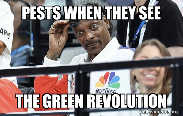 Pests when they see The Green Revolution - Snoop Dogg Sunglasses at ...