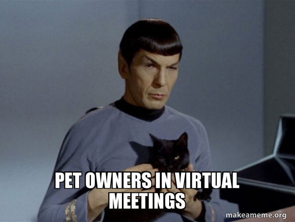 PET OWNERS IN VIRTUAL MEETINGS - Spock and Cat Meme Meme Generator