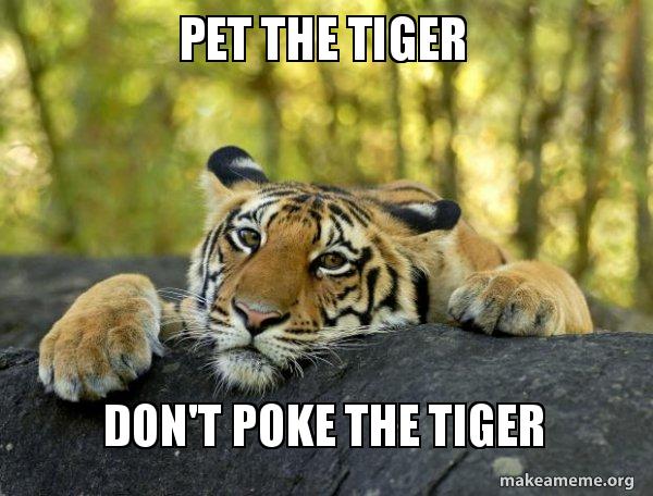 Pet the tiger Don't poke the tiger - Confession Tiger Meme Generator