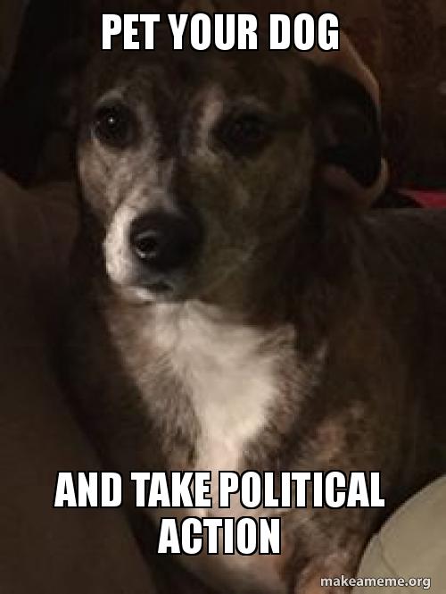PET YOUR DOG AND TAKE POLITICAL ACTION Meme Generator
