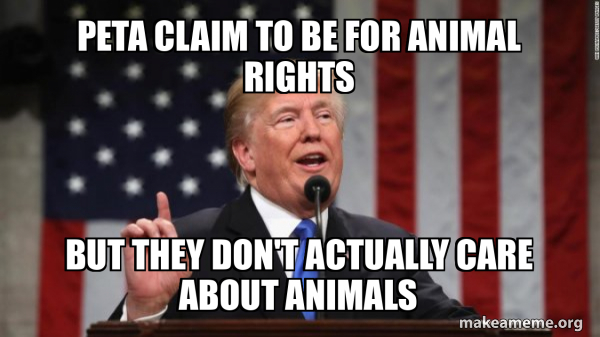 PETA claim to be for animal rights But they don't actually care about ...