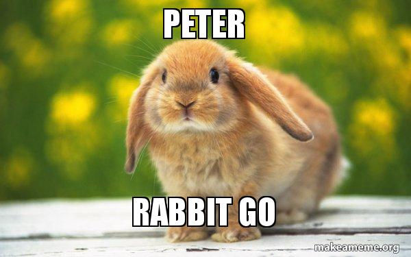 Peter Rabbit Memes Peter Rabbit 10 Minutes Funny Scenes Compilation