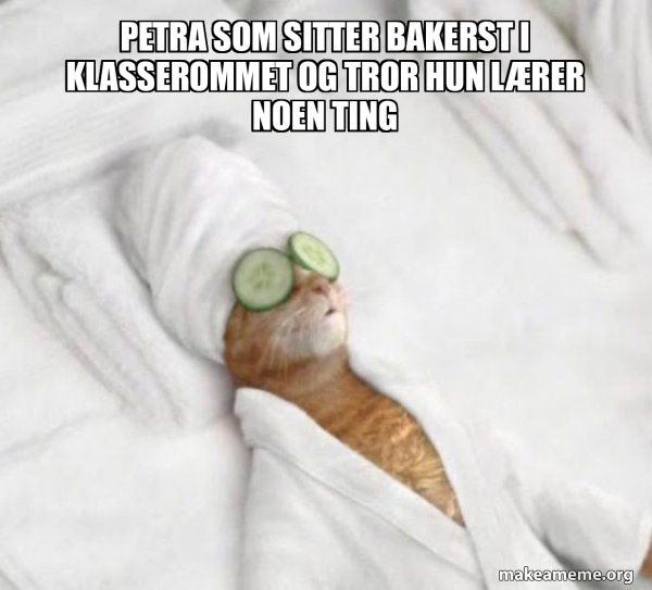 Petra som sitter bakerst i klasserommet og tror hun lærer noen ting ...