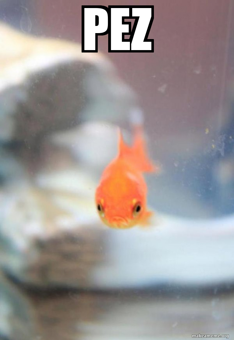 Pez - Grumpy Fish Meme Generator