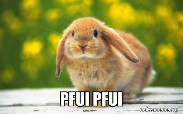 PFUI PFUI - Regretful Rabbit Meme Generator