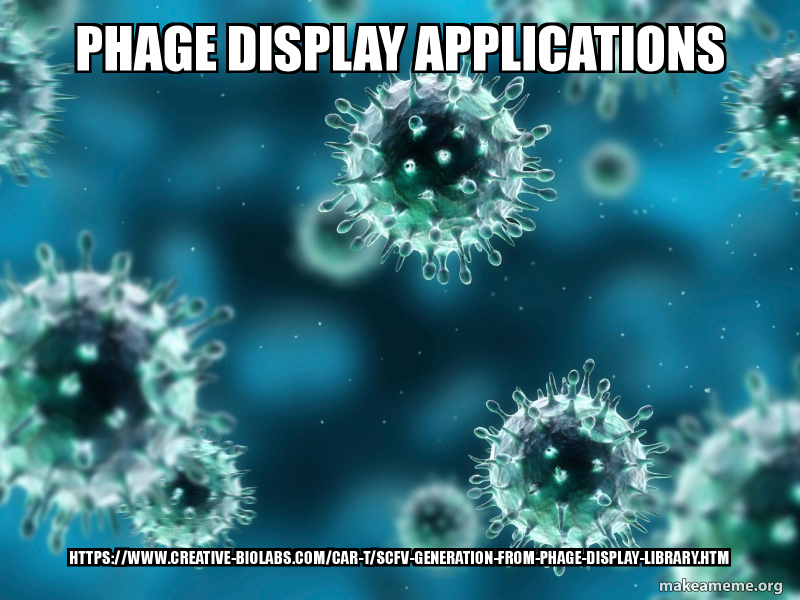 phage display applications https://www.creative-biolabs.com/car-t/scfv ...